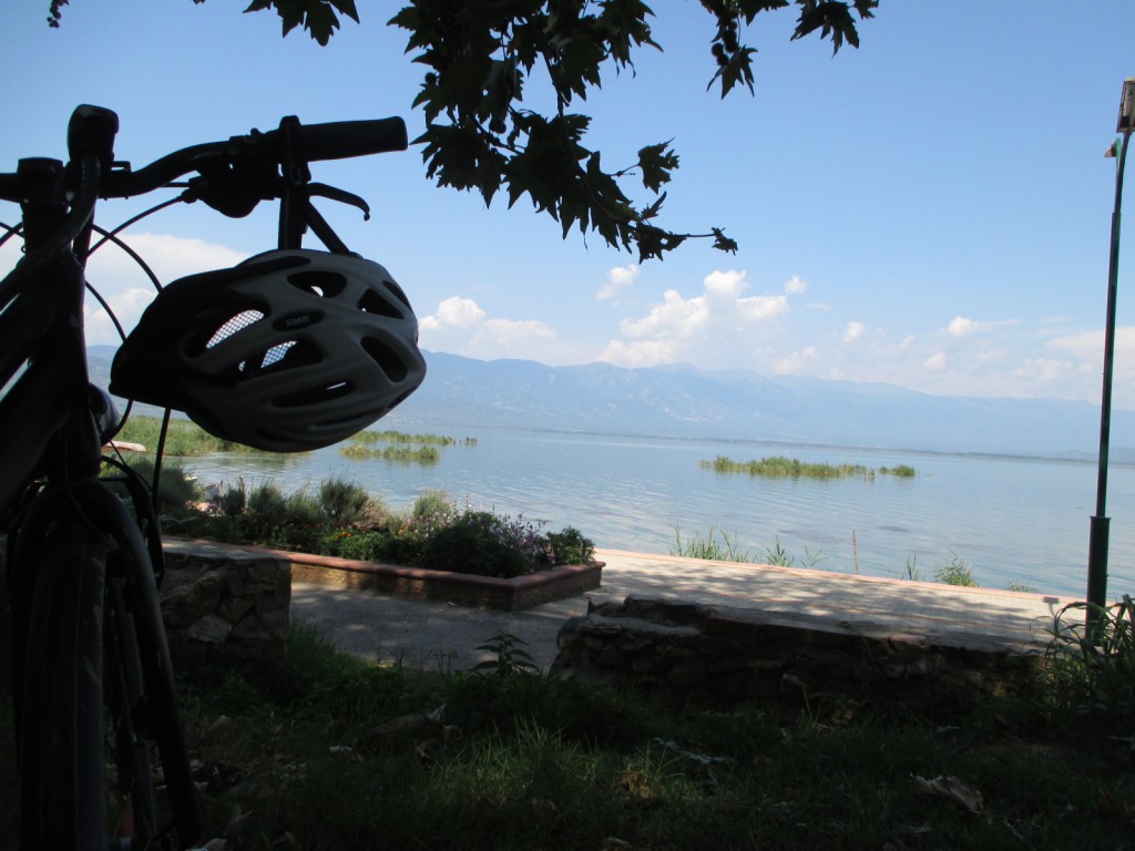 Cycling To Utopia Ecotopia Termitinitus